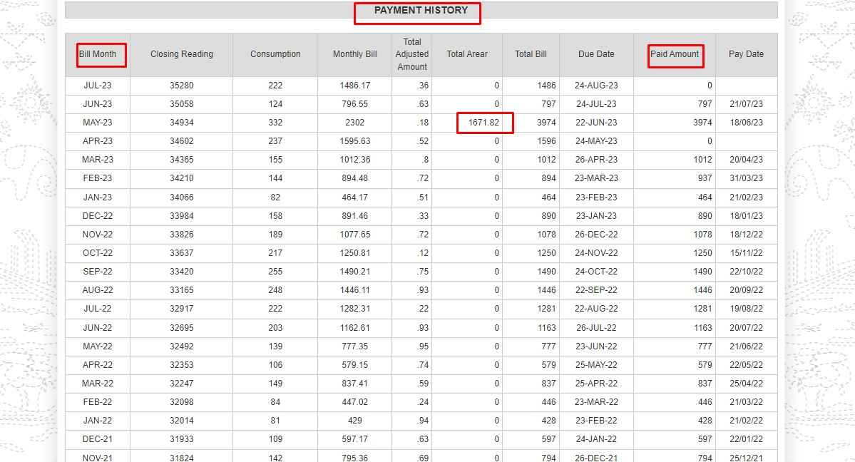 DPDC বিদ্যুৎ বিল চেক অনলাইনে। DPDC Bill Check Online